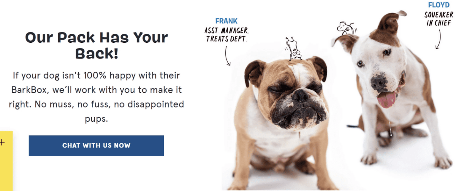 An article all about alliteration in brand names | VistaPrint US